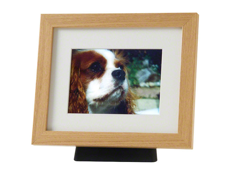 Tribute Frame Pod with Ashes Pet Urn – Talking Stones
