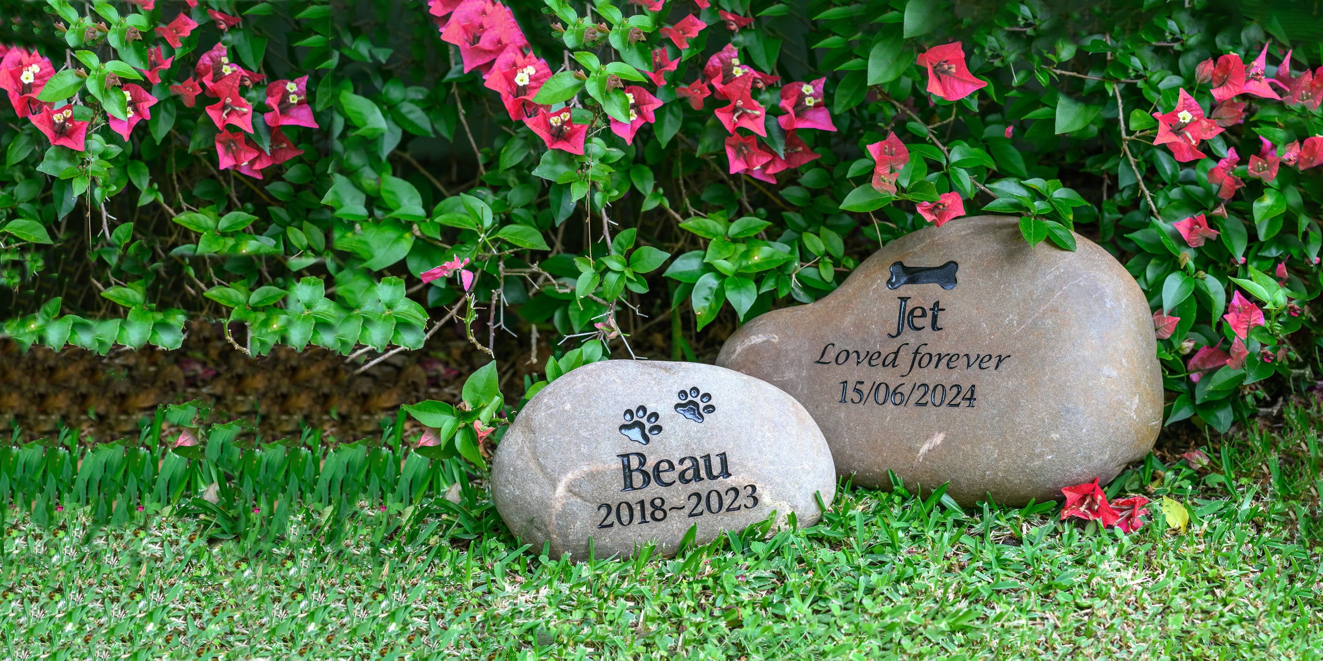 Talking Stones